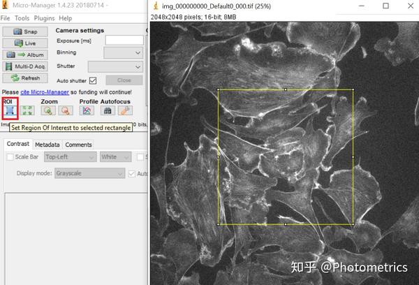 Micro-Manage/ImageJ软件使用技巧快问快答-1 - 知乎