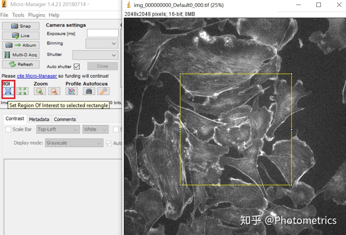 Micro-Manage/ImageJ软件使用技巧快问快答-1 - 知乎