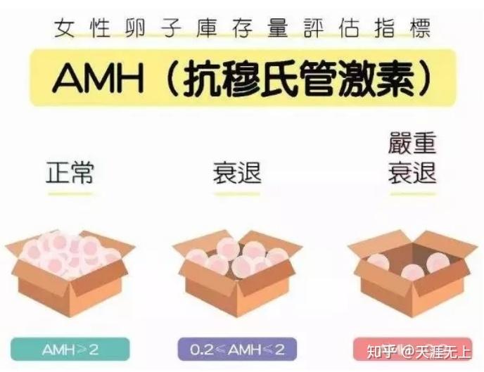 做试管婴儿前，为何一定要检查AMH？ - 知乎