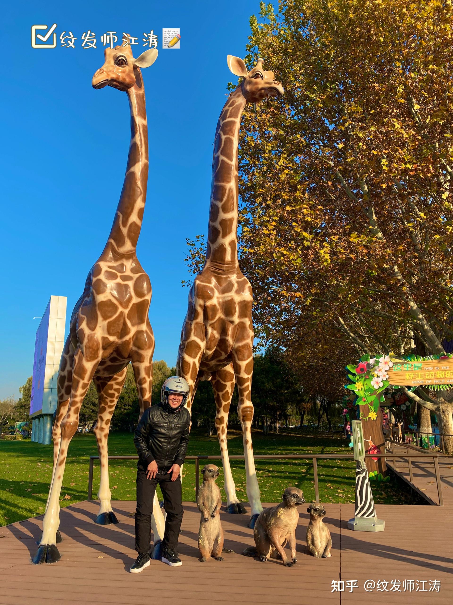 豪爵UHR150加装改装这些配件——实用主义者车主干货分享 - 知乎