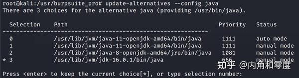 Kali Linux下安装BurpSuite Pro - 知乎