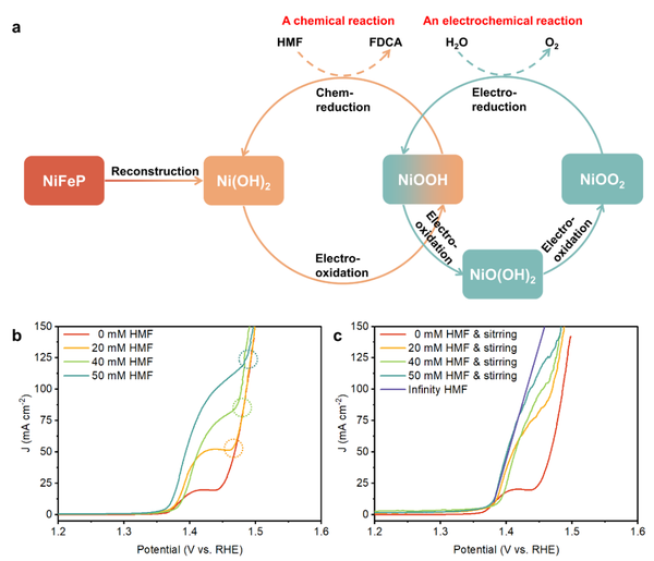 广州大学杜磊/厦门大学王宇成ACB: 动态变化的Ni(OH)2-NiOOH/NiFeP异质结构用于高性能5-羟甲基糠醛电催化氧化 - 知乎