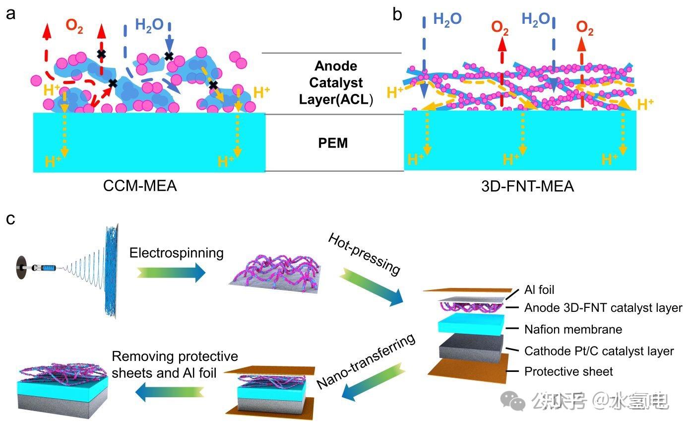 中科院JMCA：PEMWE 3D纳米纤维网络阳极加速质量和质子输运 - 知乎