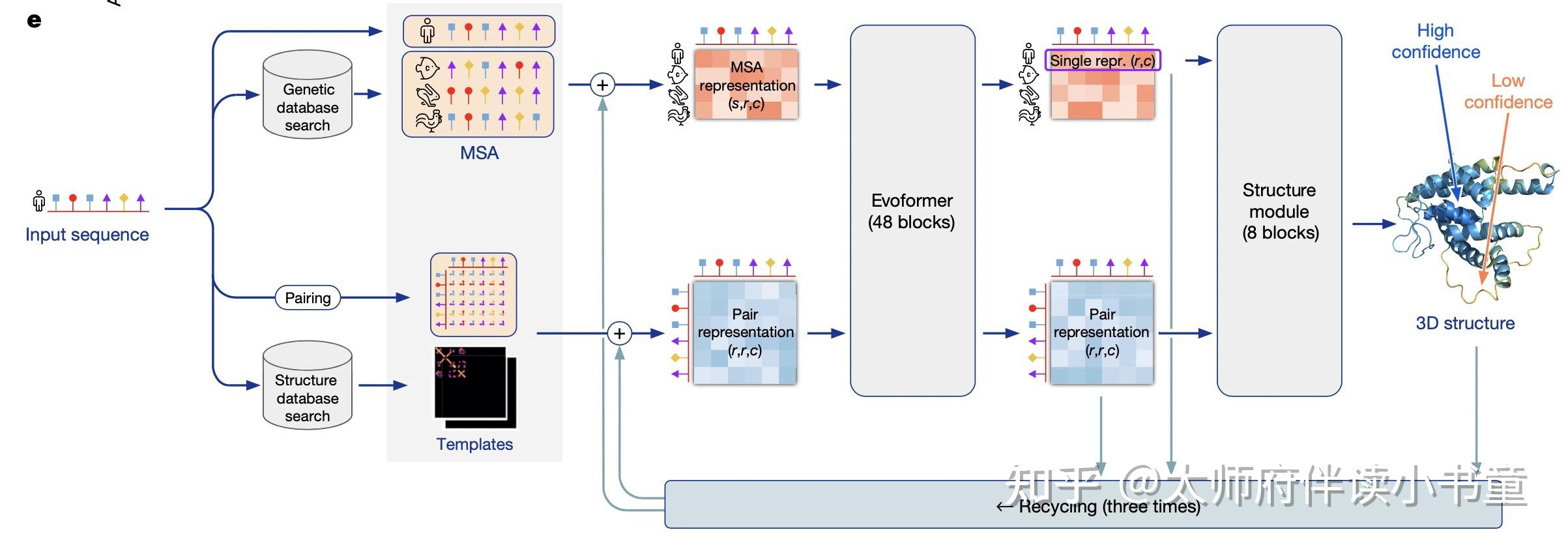 GoDeep系列（十）：AlphaFold 2模型结构拆解（框架） - 知乎