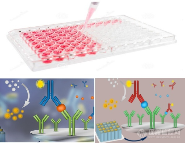 快速检测生物样本中蛋白含量——Elisa - 知乎