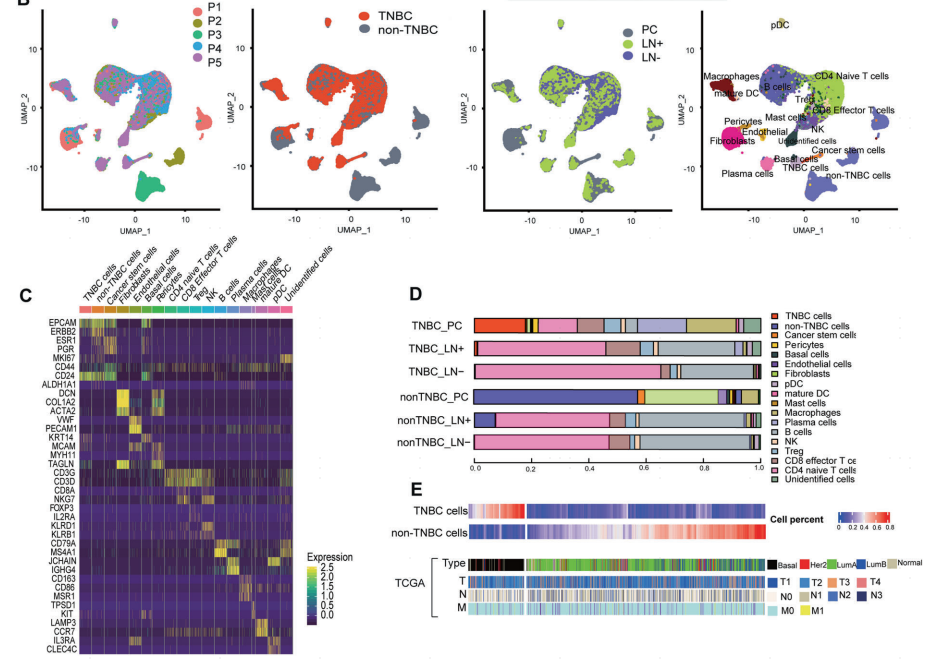 单细胞下游验证实验 - 知乎