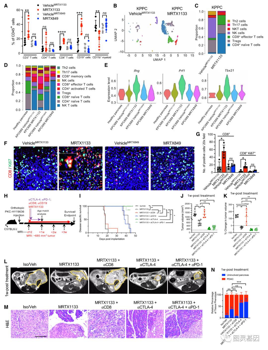 Cancer Cell | 抑制KRASG12D突变可重编程胰腺癌微环境，促进CD8+T细胞杀伤 - 知乎