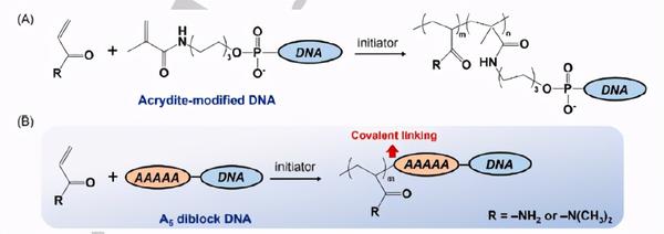 滑铁卢大学刘珏文《Angew》无修饰DNA的冷冻辅助偶联纳米凝胶，传感DNA和汞离子 - 知乎