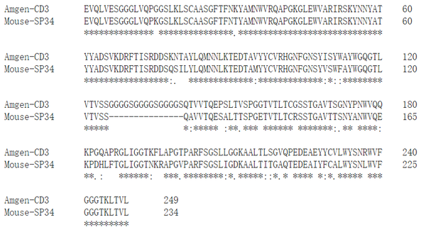 H44-L100：没有什么是一个二硫键解决不了的 - 知乎