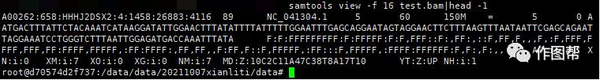 比对软件|Samtools - 知乎