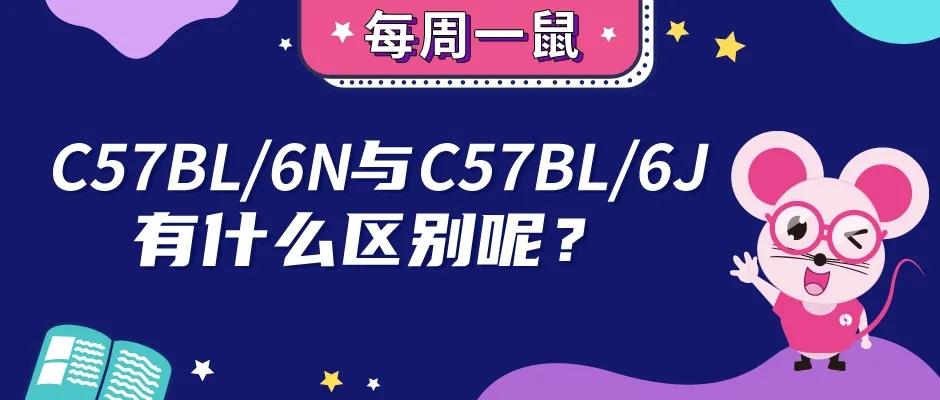 C57BL/6N与C57BL/6J有什么区别呢？ - 知乎