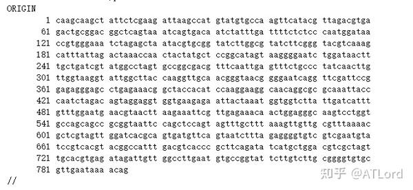 数据格式（一）——gb：GenBank - 知乎