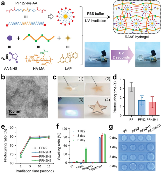 《AFM》深圳先进院赵晓丽/潘浩波：一种用于止血和伤口密封的可注射快速粘合和抗溶胀粘合水凝胶 - 知乎