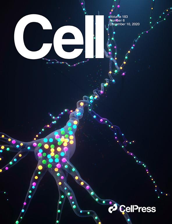 科学与艺术的结合！《CELL》100+张期刊封面鉴赏｜2020年篇 - 知乎