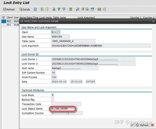 关于 Sap Abap 里的锁类型 Lock Type 知乎