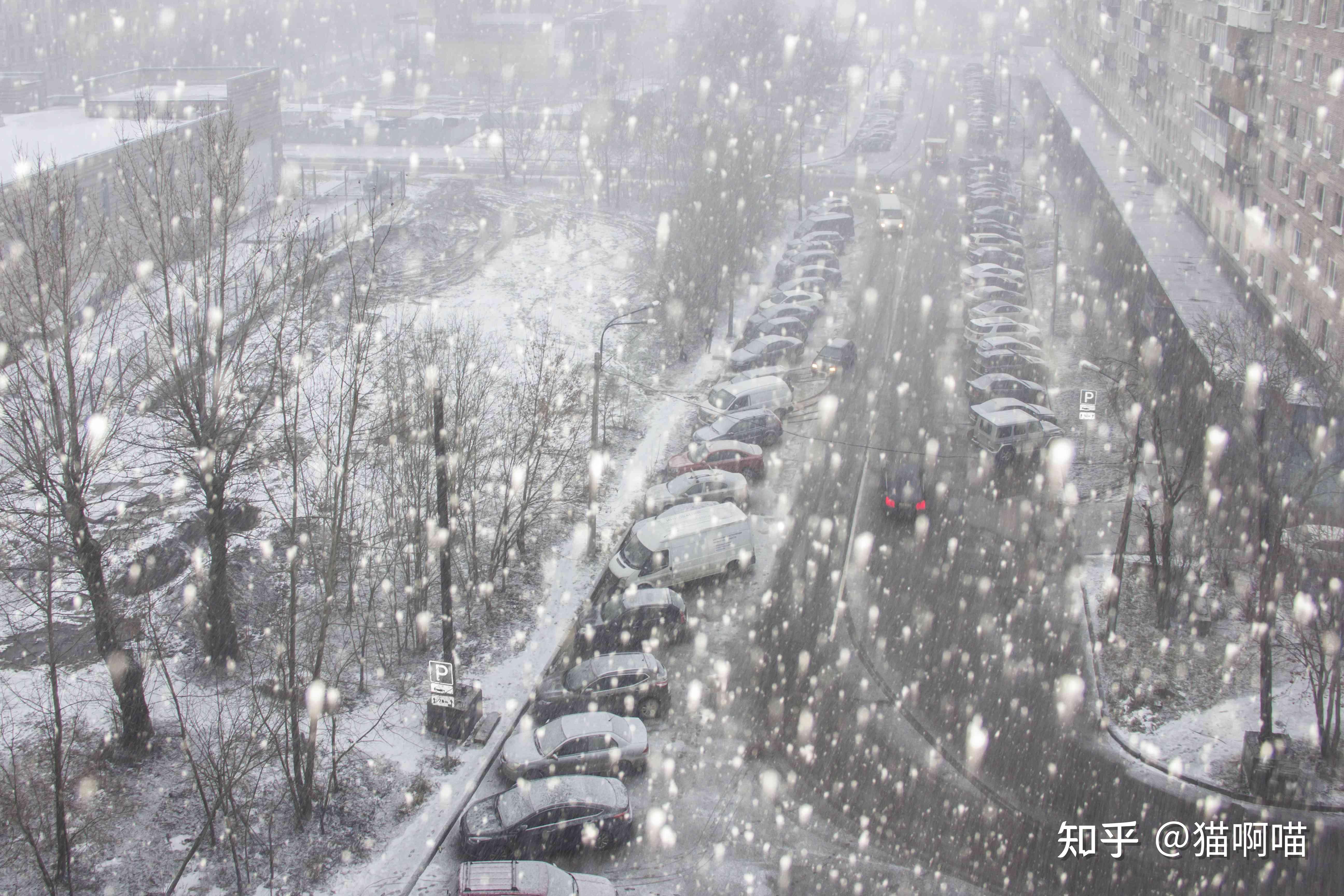应该如何应对春节期间的雨雪天气，羊大师教你 - 知乎
