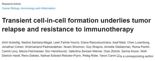 eLife | 细胞内的细胞：形成，复发和免疫治疗耐药 - 知乎
