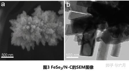 SEM---1 SEM的基本原理及应用 - 知乎
