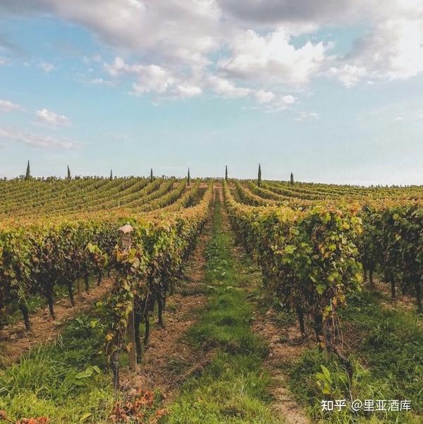 波尔多葡萄酒产区详解 知乎