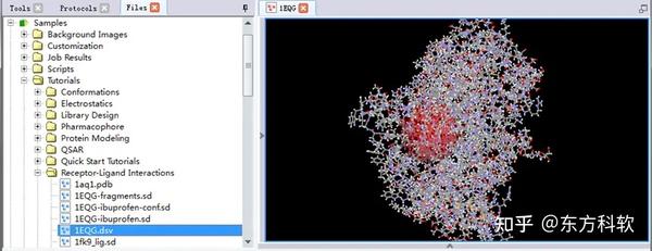 Discovery Studio官方教程（Help-Tutorials）|CDOCKER介绍及教程 - 知乎