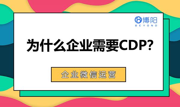 我们为什么需要CDP？ - 知乎