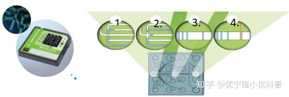 自动化核酸质控常青树——安捷伦2100生物分析仪 - 知乎