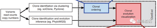 Topic2.克隆进化之ClonEvol - 知乎