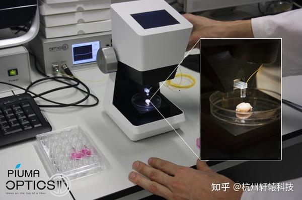 Piuma生物纳米压痕仪在人耳、鼻翼和鼻中隔软骨的结构和机械比较 - 知乎