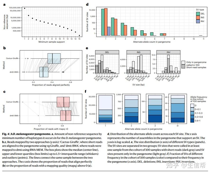 Nbt 使用minigraph Cactus构建图形泛基因组 知乎