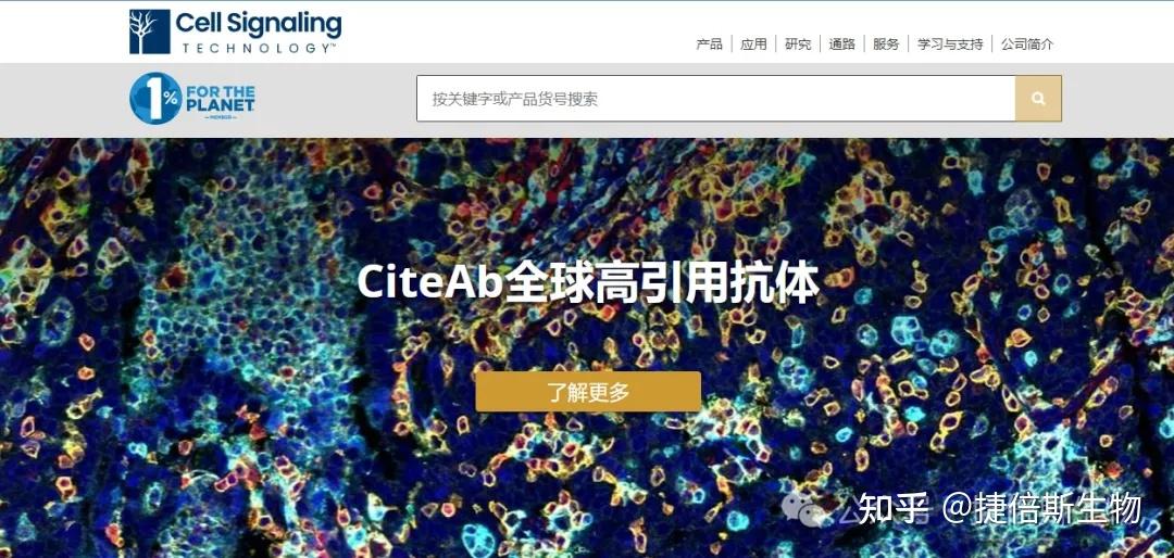 42个抗体品牌及产品特点介绍 - 知乎