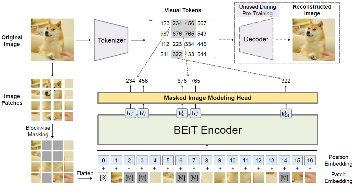 Self-Supervised Learning 超详细解读 (三)：BEiT：视觉BERT预训练模型 - 知乎