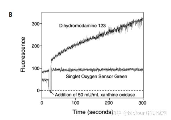 SOSG单线态氧荧光探针 - 知乎