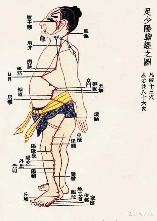胆经：这3个地方最易堵，胆经一通，全身轻松！ 知乎