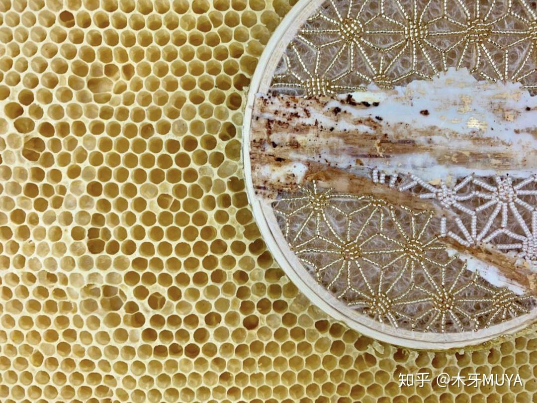 跨界媒介的碰撞：蜂巢+刺绣 | Ava Roth 「艺术访谈」 - 知乎