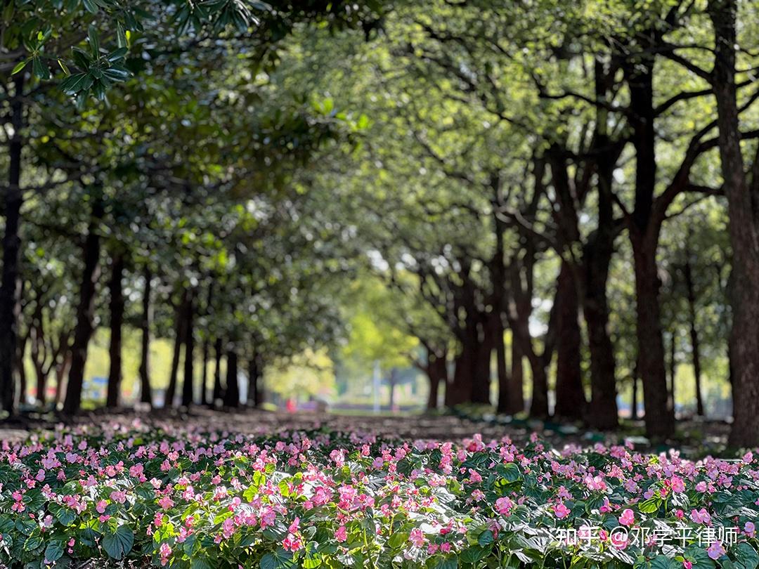邓学平辩护词精选 | 辩护成功！非法买卖爆炸物罪无罪辩护意见 - 知乎
