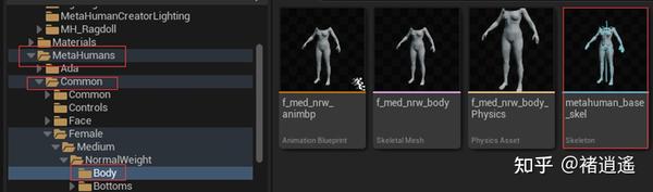 【UE5】MetaHuman-MB、MAYA身体、面部静态数据工作方案（小学生版） - 知乎