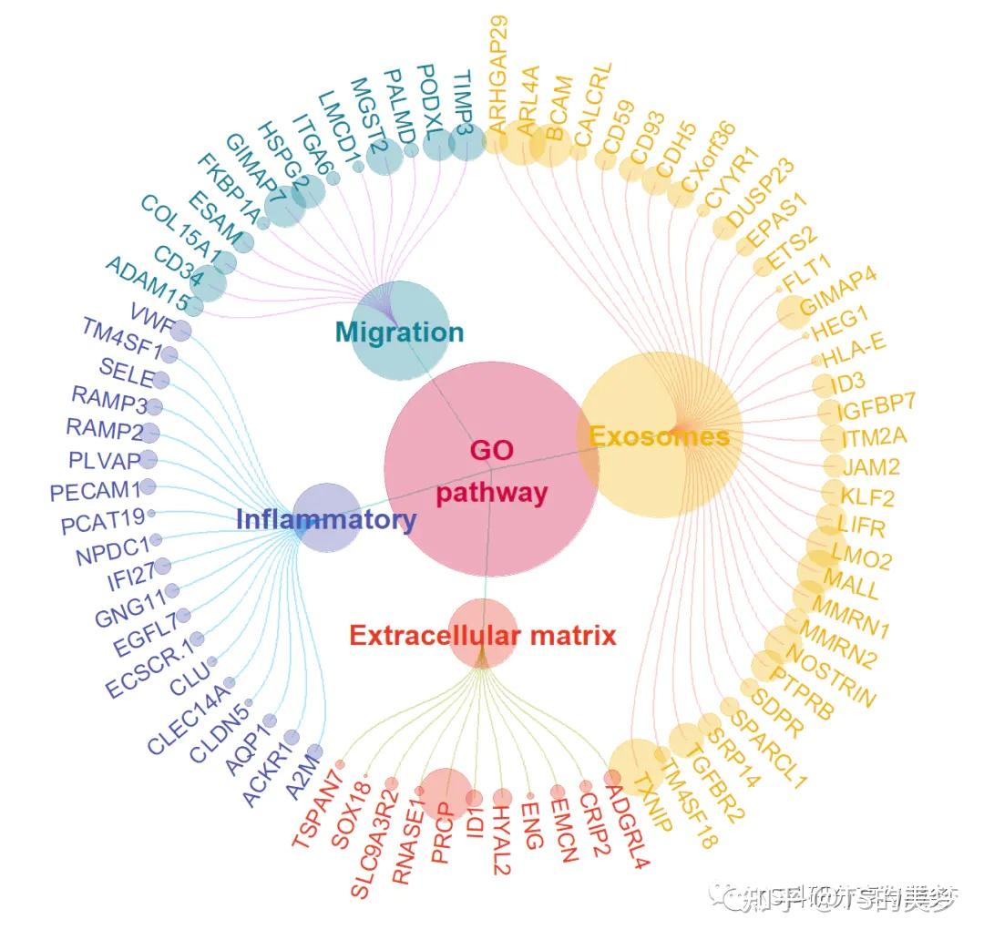 Graph包:圆状网络图的绘制互作网络图基因通路网络图 知乎