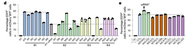 基于工程化改造的IscB-nickase的小型化碱基编辑器开发 - 知乎