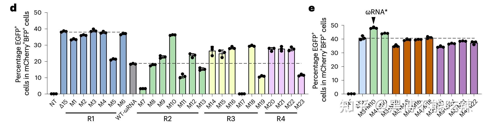 基于工程化改造的IscB-nickase的小型化碱基编辑器开发 - 知乎