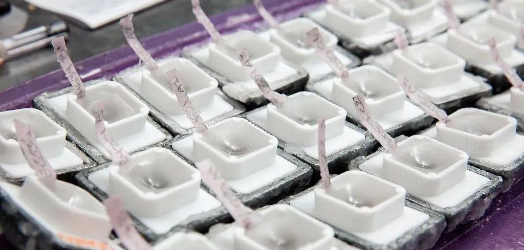 M20 Seq与10x Flex石蜡包埋样本实测数据对比 - 知乎