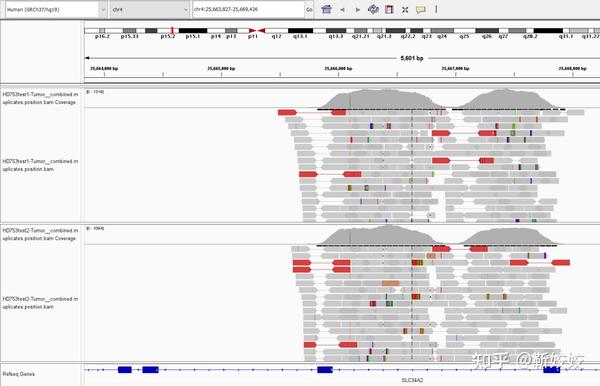 IGV快速上手指南（四）——查看基因融合 - 知乎