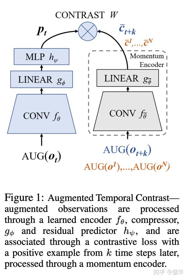 [笔记019] Decoupling Representation Learning from RL - 知乎