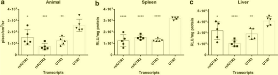 【耀文解读】mRNA篇|mRNA序列优化——筛选最短5'UTR序列实现mRNA翻译效率最大化 - 知乎