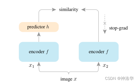 李沐论文精读系列三：MoCo、对比学习综述（MoCov1/v2/v3、SimCLR v1/v2、DINO等） - 知乎