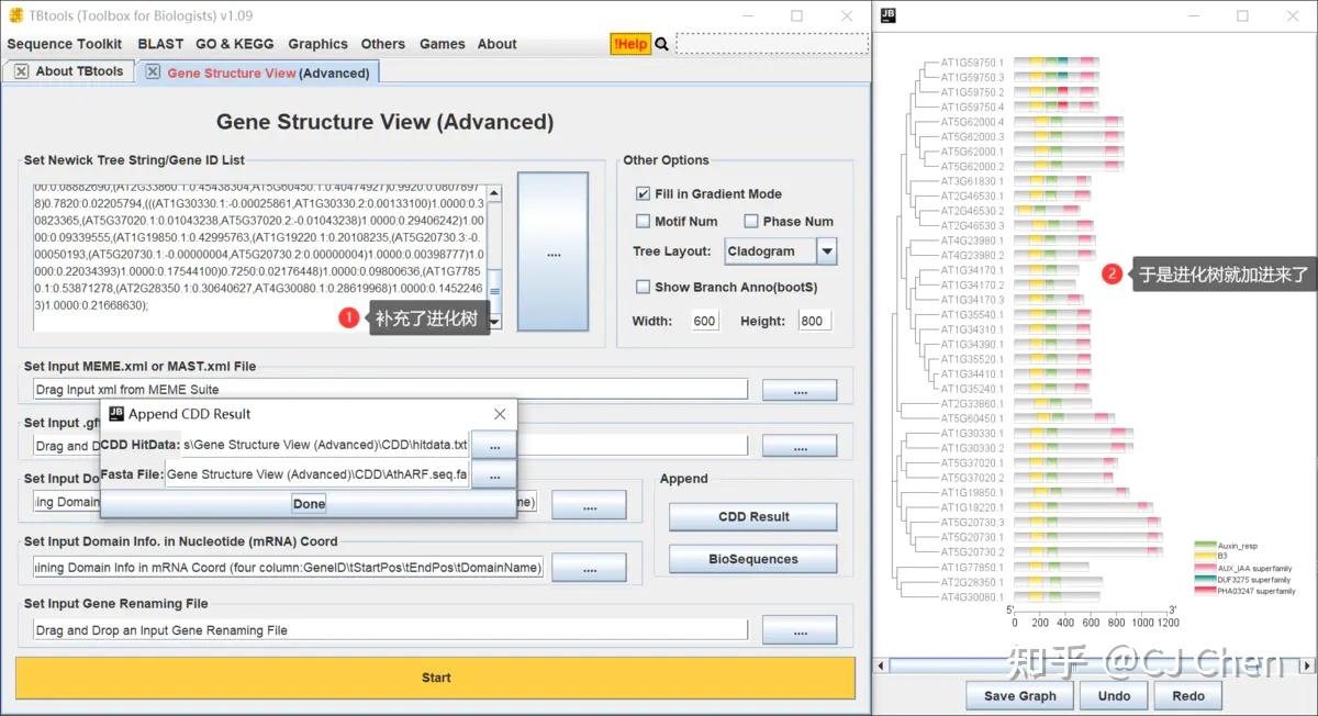 TBtools | 多图合一至强版教程！进化树 + Motifs + 结构域 + 启动子 + 基因结构 + .... - 知乎