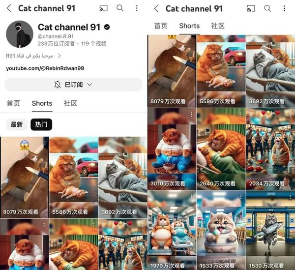 30天涨粉100万！火爆全网的AI猫猫究竟该如何制作？ - 知乎