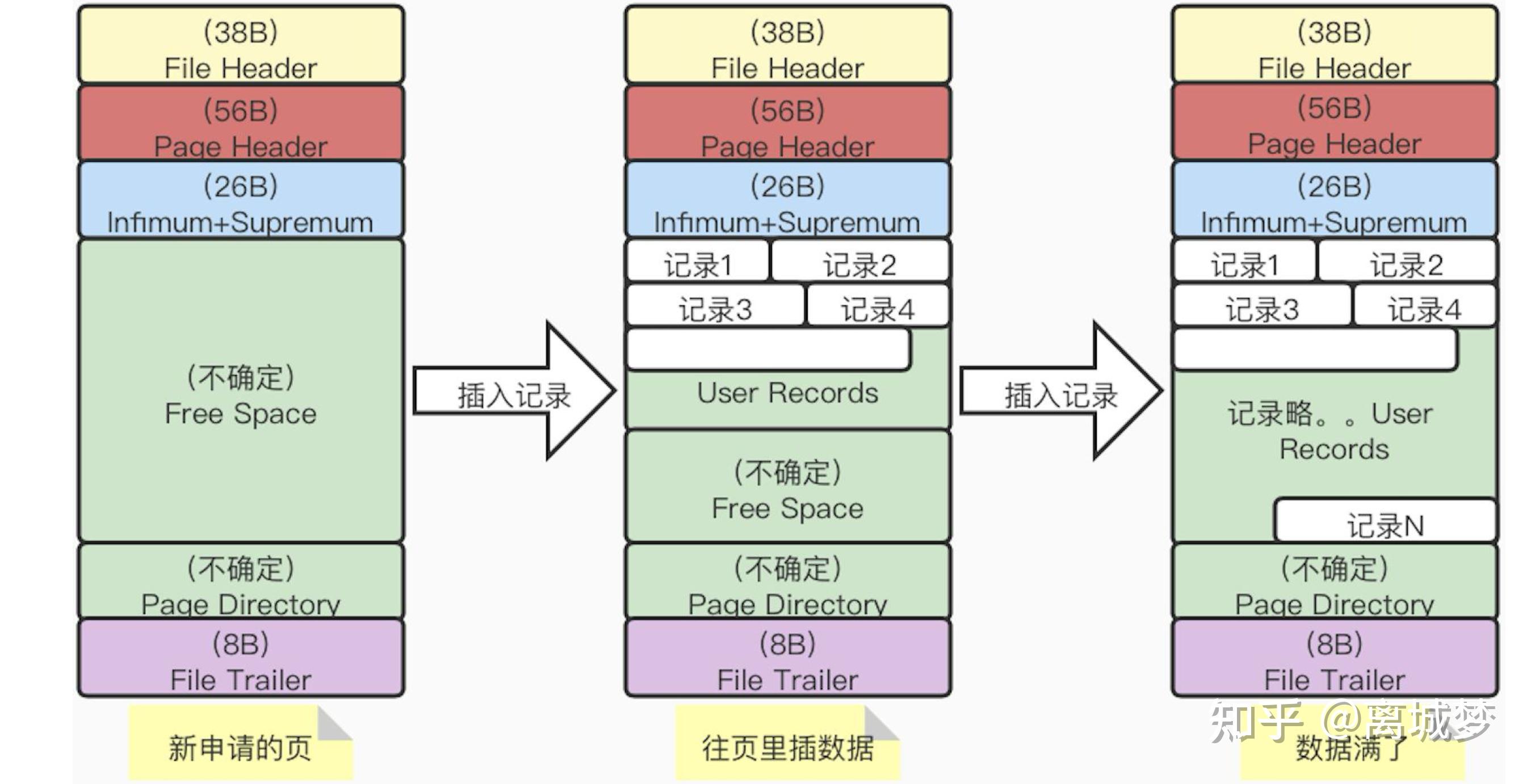 Mysql - Page 页 - 知乎