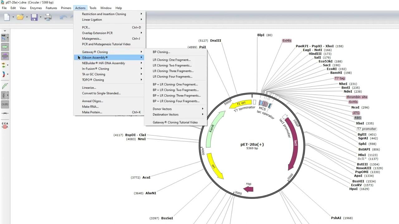 SnapGene 初学者指南 | SnapGene 软件概览 - 知乎