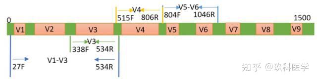 解决微生物定量难题 | 微生物16S扩增子测序分析 - 知乎