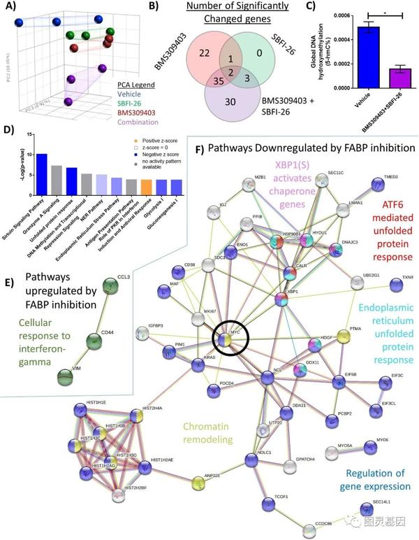 eLife | 靶向脂肪酸结合蛋白破坏多发性骨髓瘤细胞周期进程和MYC信号 - 知乎